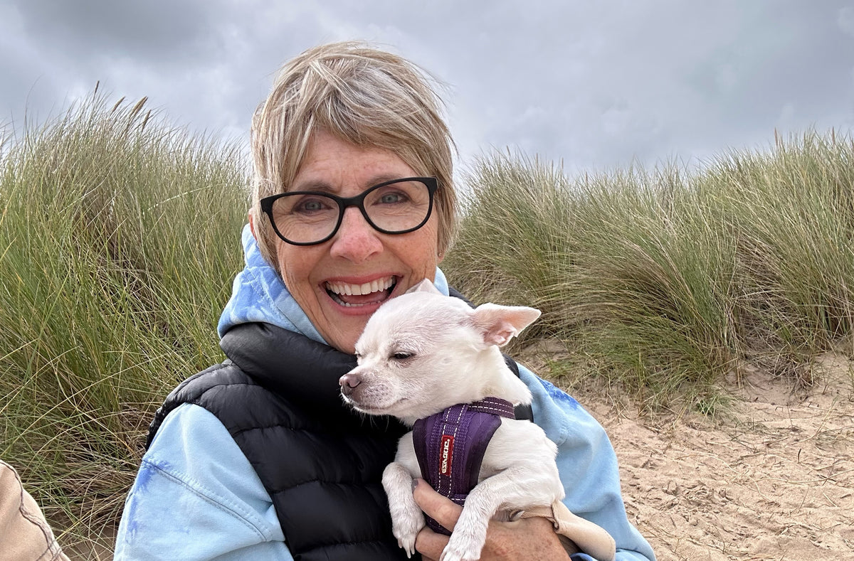 Bookworms - Jane Lancaster – George Street Community Bookshop